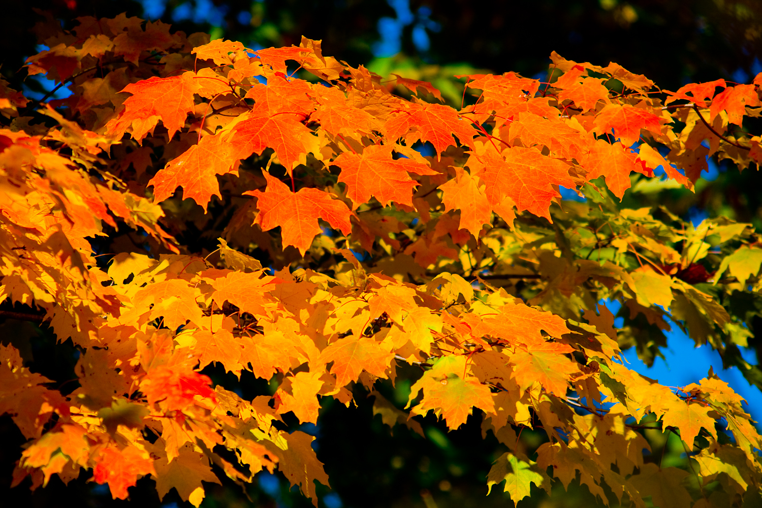 Fall Color Destinations around Great Lakes - Great Lakes EXPLORER